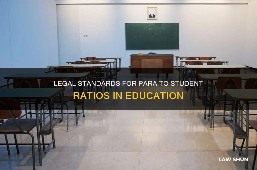 Legal Standards For Para To Student Ratios In Education | LawShun