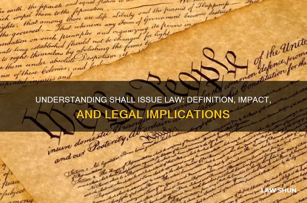Understanding Shall Issue Law: Definition, Impact, And Legal ...