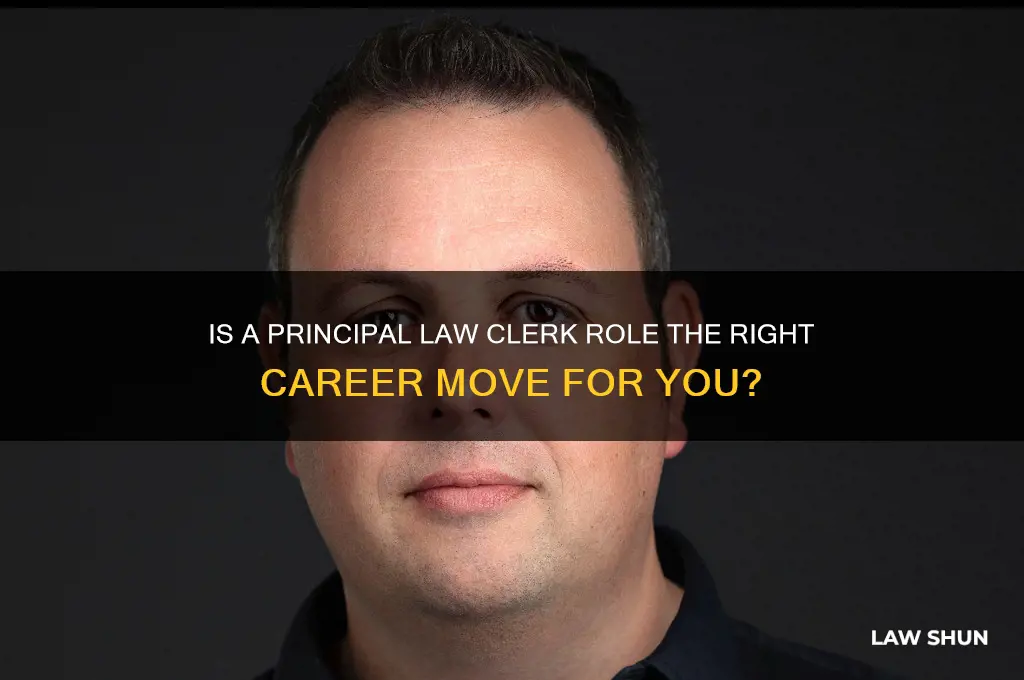 Is A Principal Law Clerk Role The Right Career Move For You? | LawShun