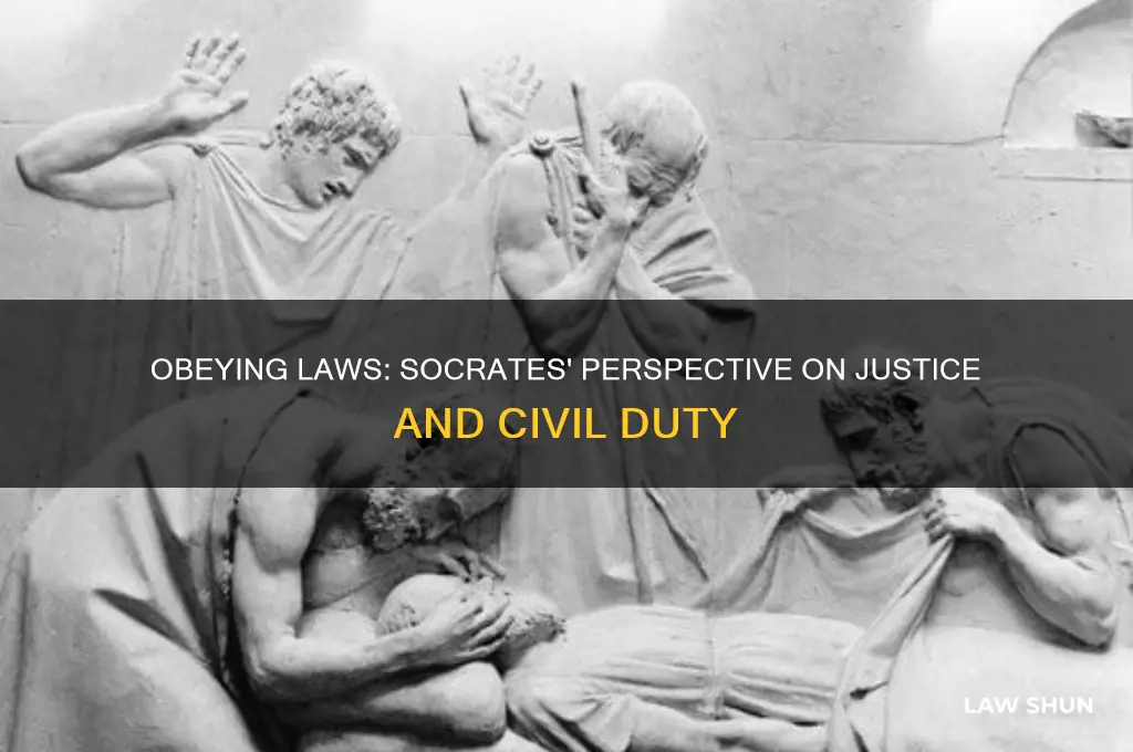 Obeying Laws: Socrates' Perspective On Justice And Civil Duty | LawShun