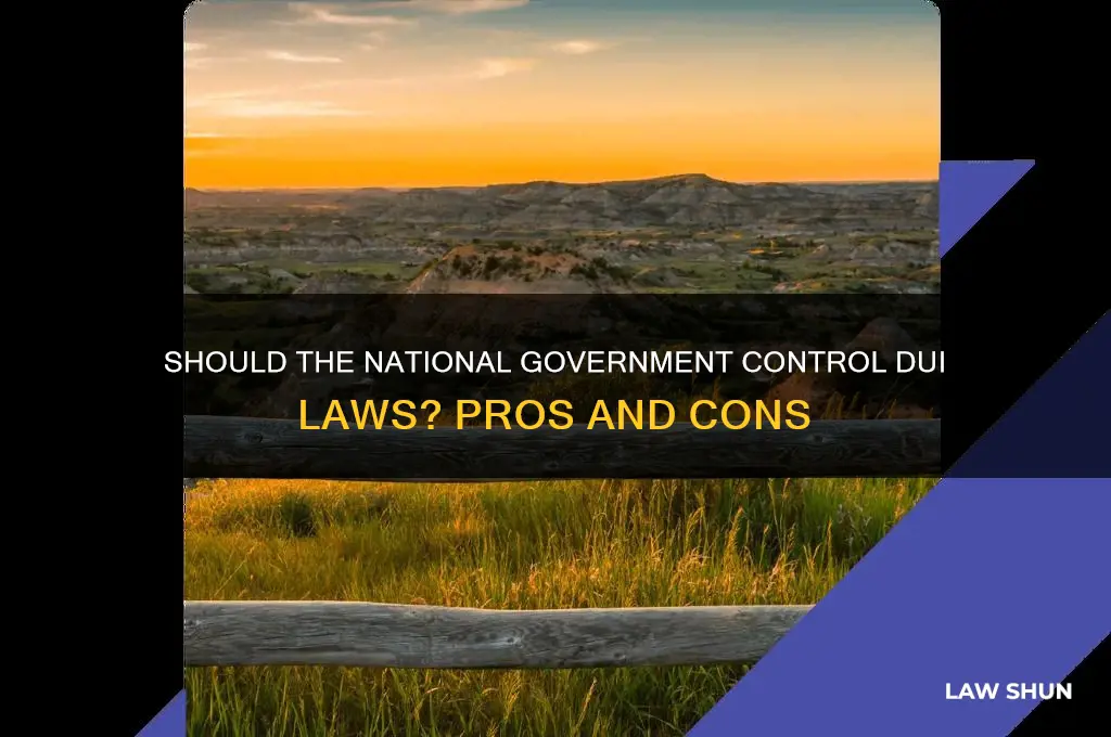 Should The National Government Control Dui Laws? Pros And Cons | LawShun