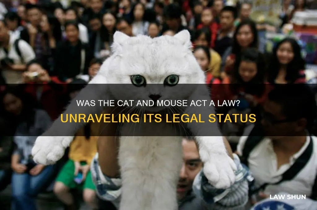 Was The Cat And Mouse Act A Law? Unraveling Its Legal Status | LawShun