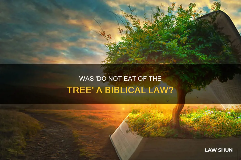 Was 'Do Not Eat Of The Tree' A Biblical Law? | LawShun