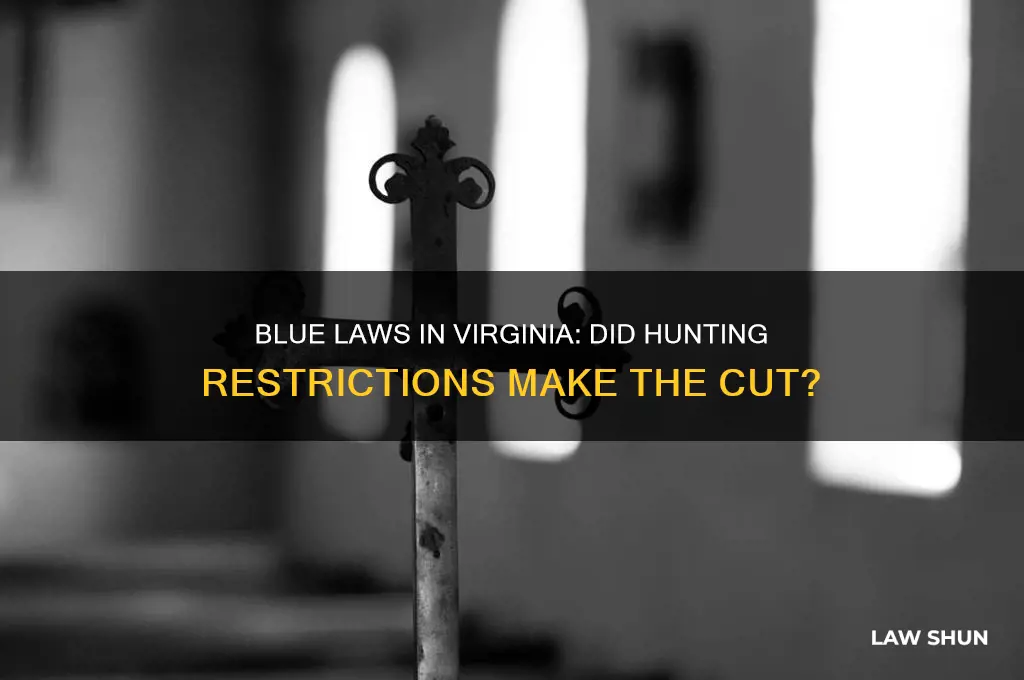 Blue Laws In Virginia: Did Hunting Restrictions Make The Cut? | LawShun