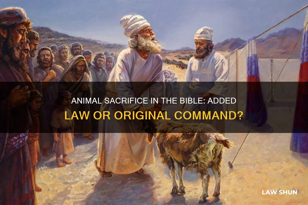 Animal Sacrifice In The Bible: Added Law Or Original Command? | LawShun