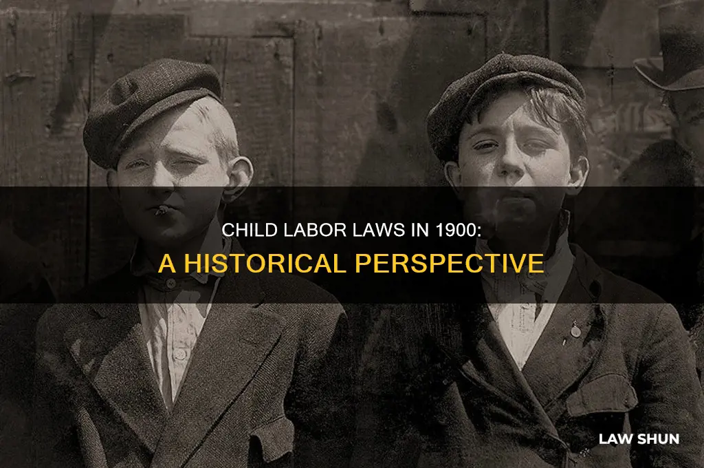 Child Labor Laws In 1900: A Historical Perspective | LawShun