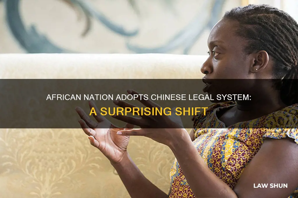 African Nation Adopts Chinese Legal System: A Surprising Shift | LawShun