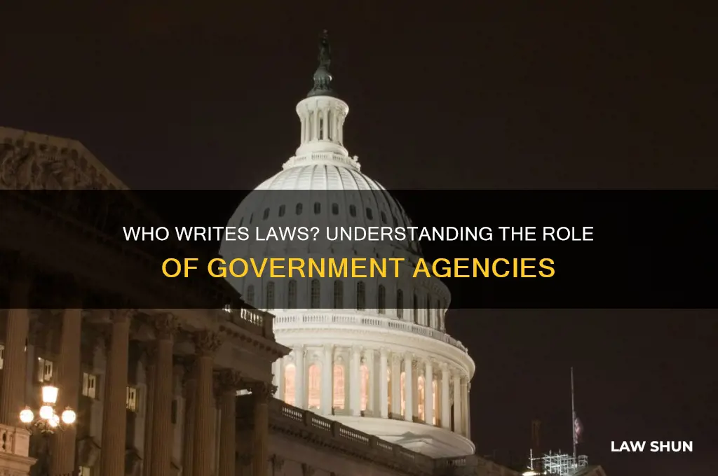 Who Writes Laws? Understanding The Role Of Government Agencies | LawShun