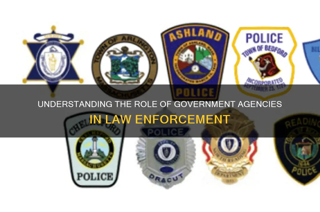 Understanding The Role Of Government Agencies In Law Enforcement | LawShun