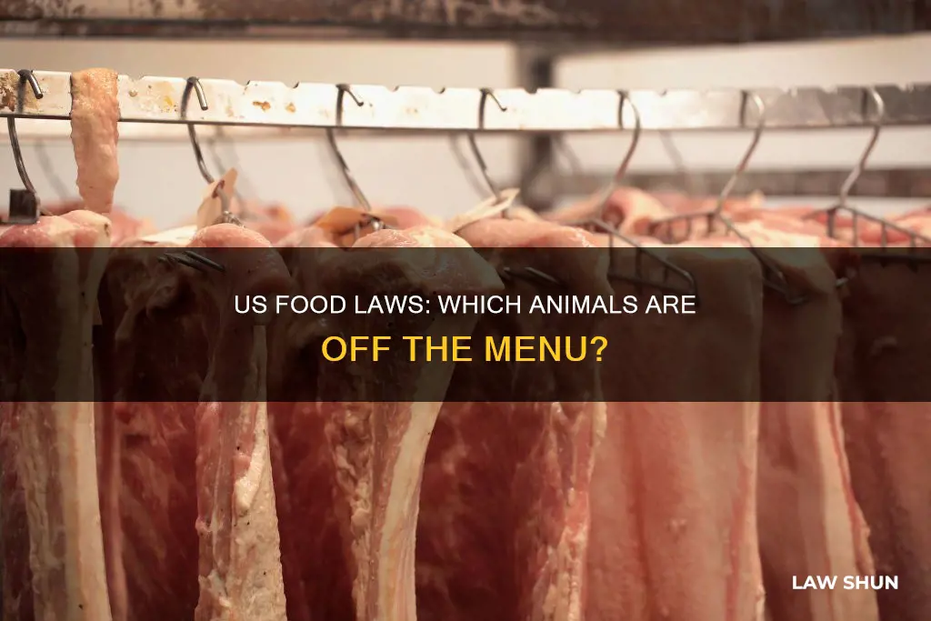 Us Food Laws: Which Animals Are Off The Menu? | LawShun