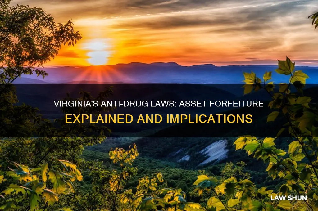 Virginia's Anti-Drug Laws: Asset Forfeiture Explained And Implications ...
