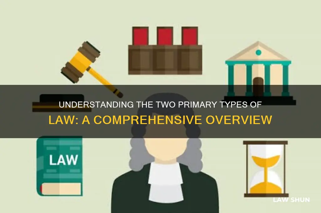 Understanding The Two Primary Types Of Law: A Comprehensive Overview ...
