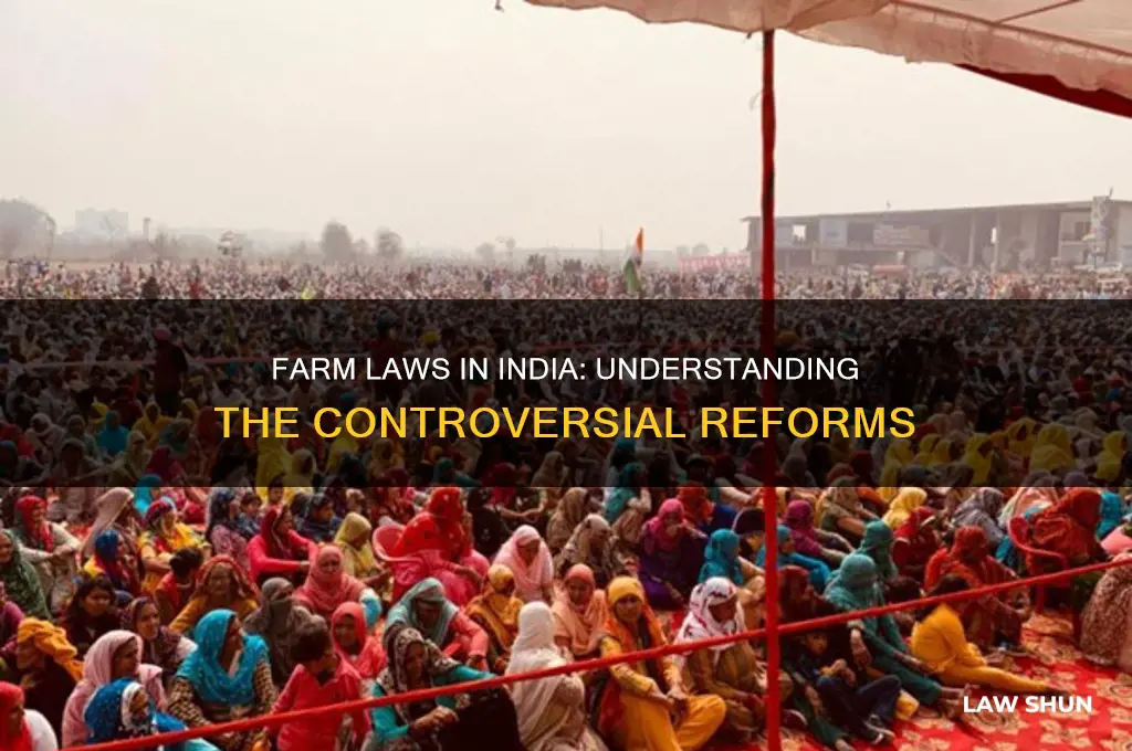 Farm Laws In India: Understanding The Controversial Reforms | LawShun