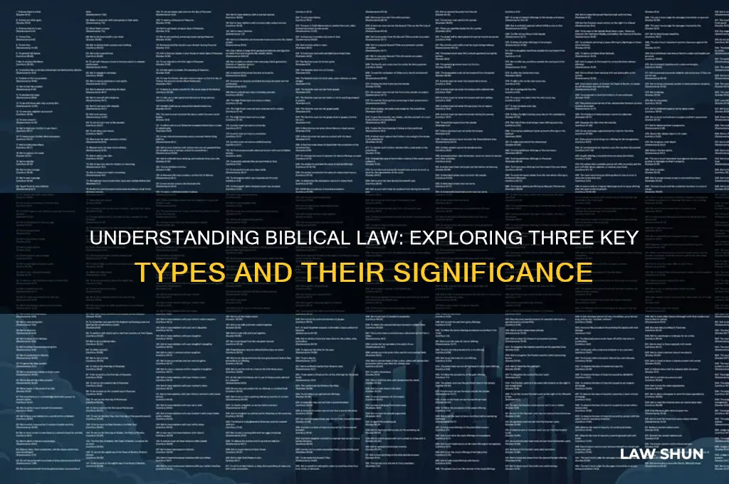 Understanding Biblical Law: Exploring Three Key Types And Their ...