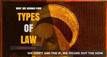 Exploring The Six Fundamental Types Of Law And Their Roles | LawShun