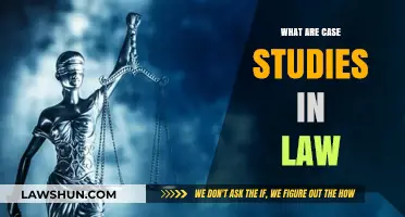 Law Case Facts: The Ultimate Guide | LawShun