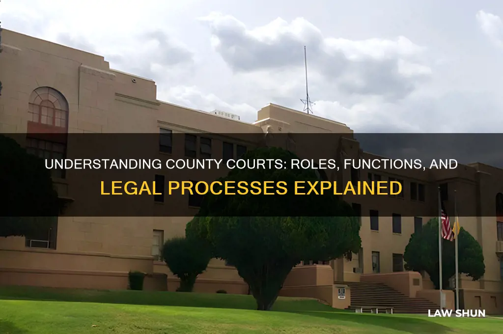 Understanding County Courts: Roles, Functions, And Legal Processes ...