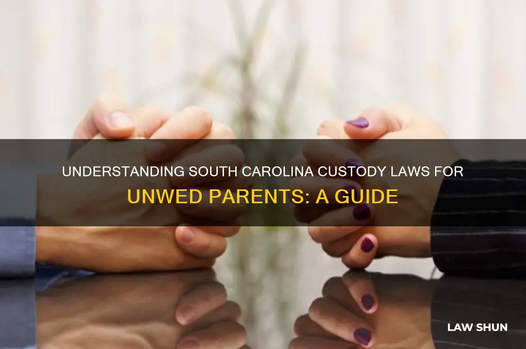 Understanding South Carolina Custody Laws For Unwed Parents: A Guide ...