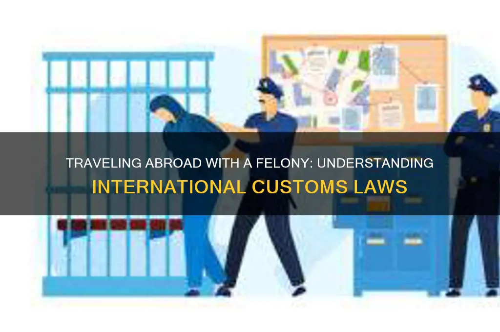 Traveling Abroad With A Felony: Understanding International Customs ...