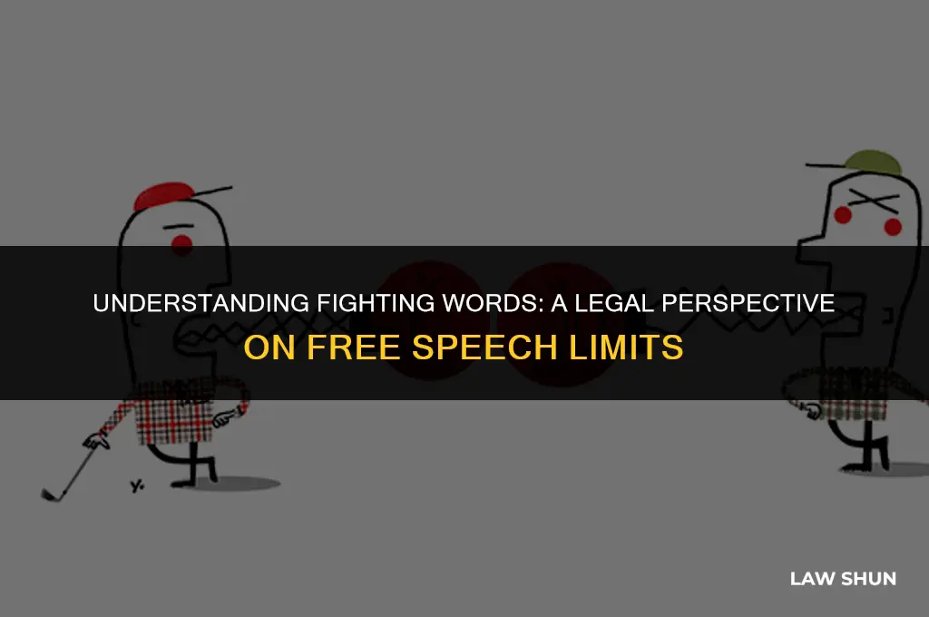 Understanding Fighting Words: A Legal Perspective On Free Speech Limits ...