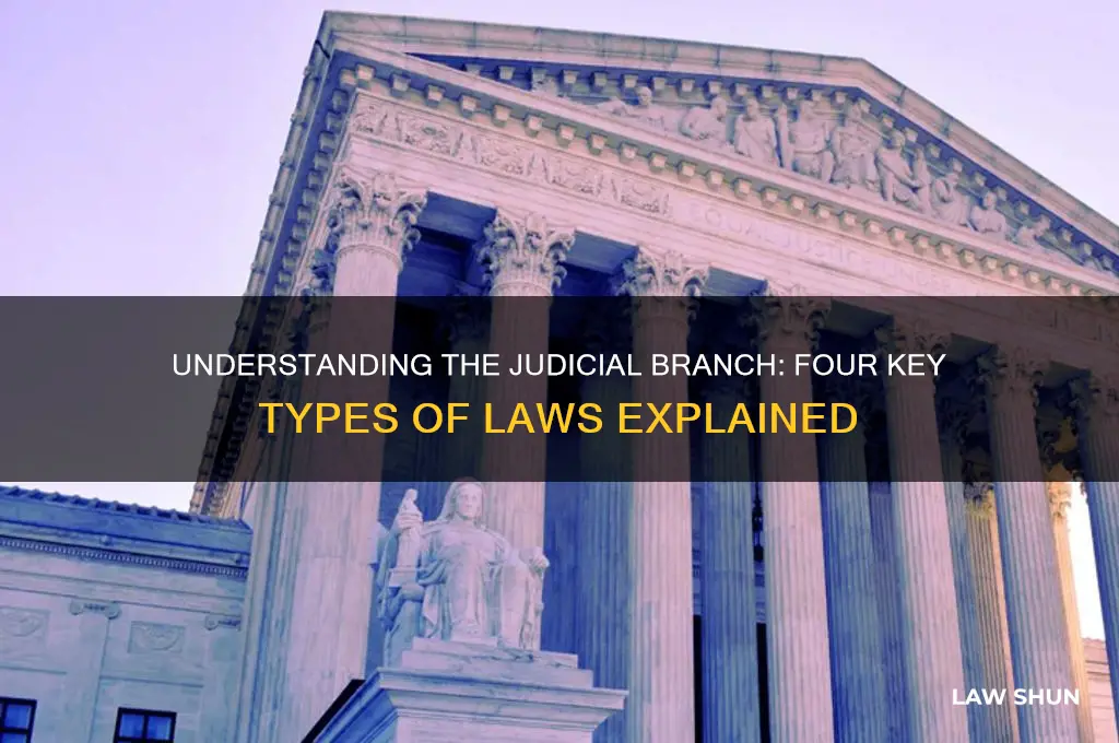 Understanding The Judicial Branch: Four Key Types Of Laws Explained ...