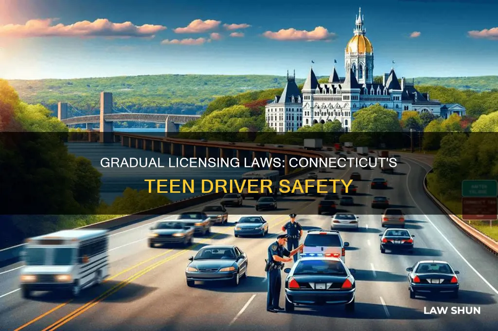 Gradual Licensing Laws: Connecticut's Teen Driver Safety | LawShun