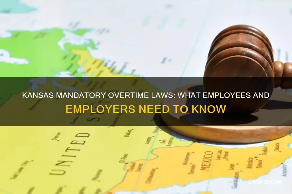 Kansas Mandatory Overtime Laws: What Employees And Employers Need To ...