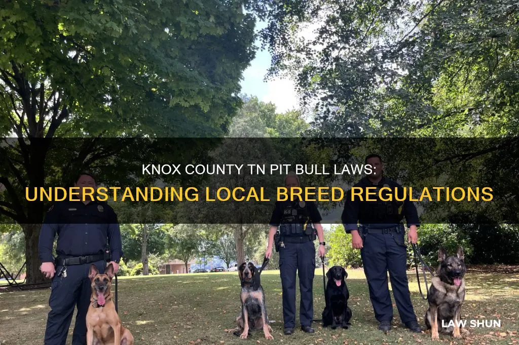 Knox County Tn Pit Bull Laws: Understanding Local Breed Regulations ...