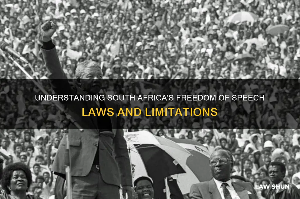 Understanding South Africa's Freedom Of Speech Laws And Limitations ...