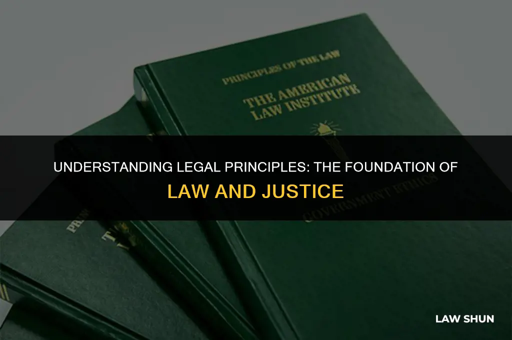 Understanding Legal Principles: The Foundation Of Law And Justice | LawShun
