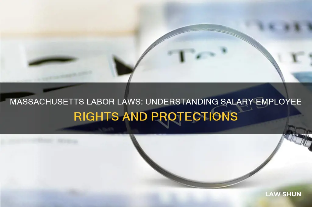 Massachusetts Labor Laws: Understanding Salary Employee Rights And ...