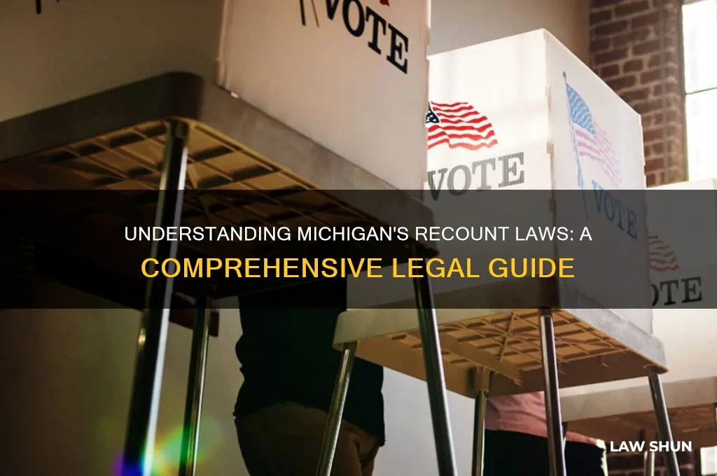 Understanding Michigan's Recount Laws: A Comprehensive Legal Guide ...