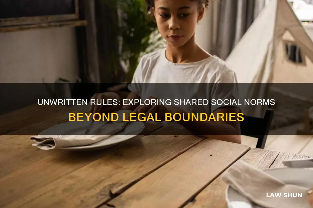 Unwritten Rules: Exploring Shared Social Norms Beyond Legal Boundaries ...