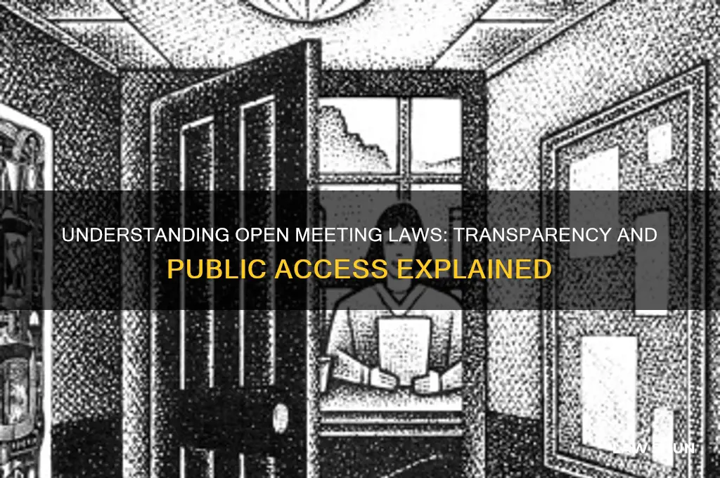 Understanding Open Meeting Laws: Transparency And Public Access ...