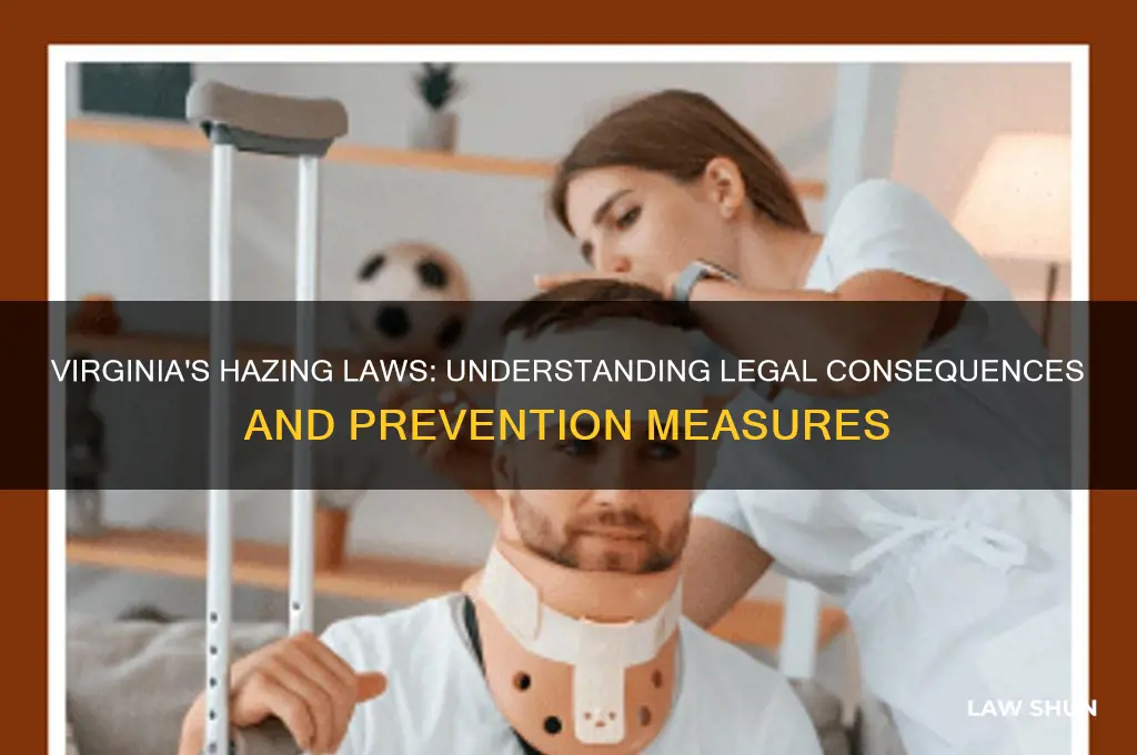 Virginia's Hazing Laws: Understanding Legal Consequences And Prevention ...