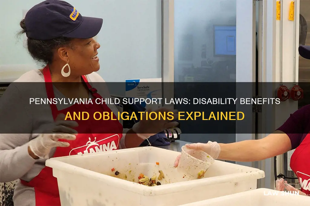 Pennsylvania Child Support Laws: Disability Benefits And Obligations ...