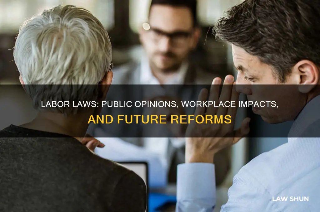 Labor Laws: Public Opinions, Workplace Impacts, And Future Reforms ...