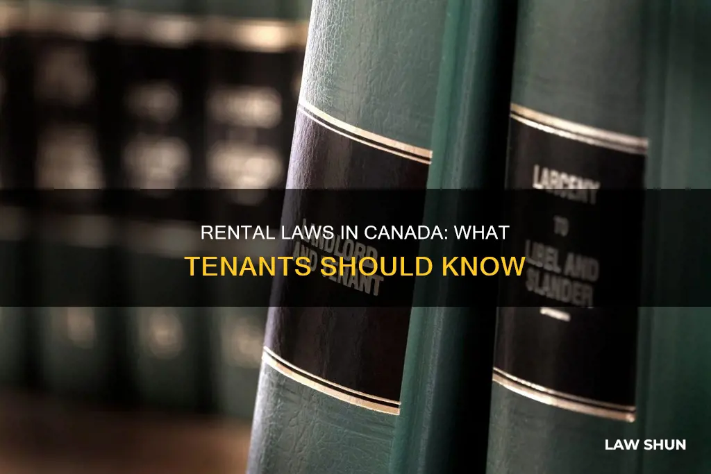 Rental Laws In Canada: What Tenants Should Know | LawShun