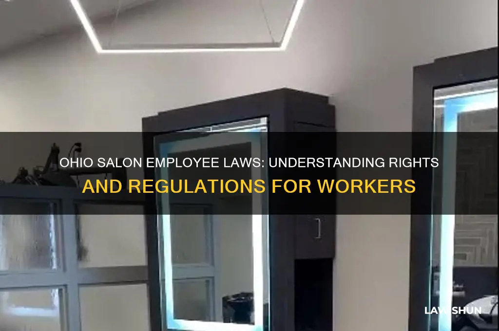 Ohio Salon Employee Laws: Understanding Rights And Regulations For ...
