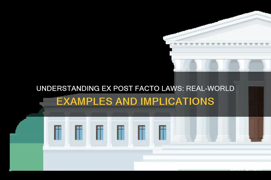Understanding Ex Post Facto Laws: Real-World Examples And Implications ...