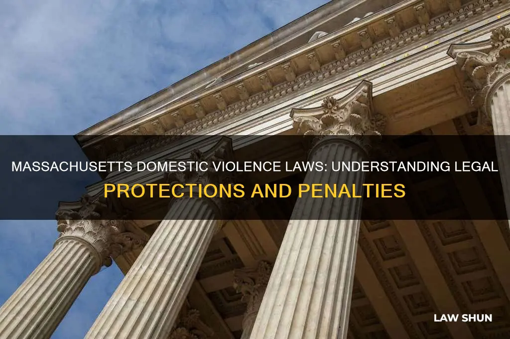 Massachusetts Domestic Violence Laws: Understanding Legal Protections ...