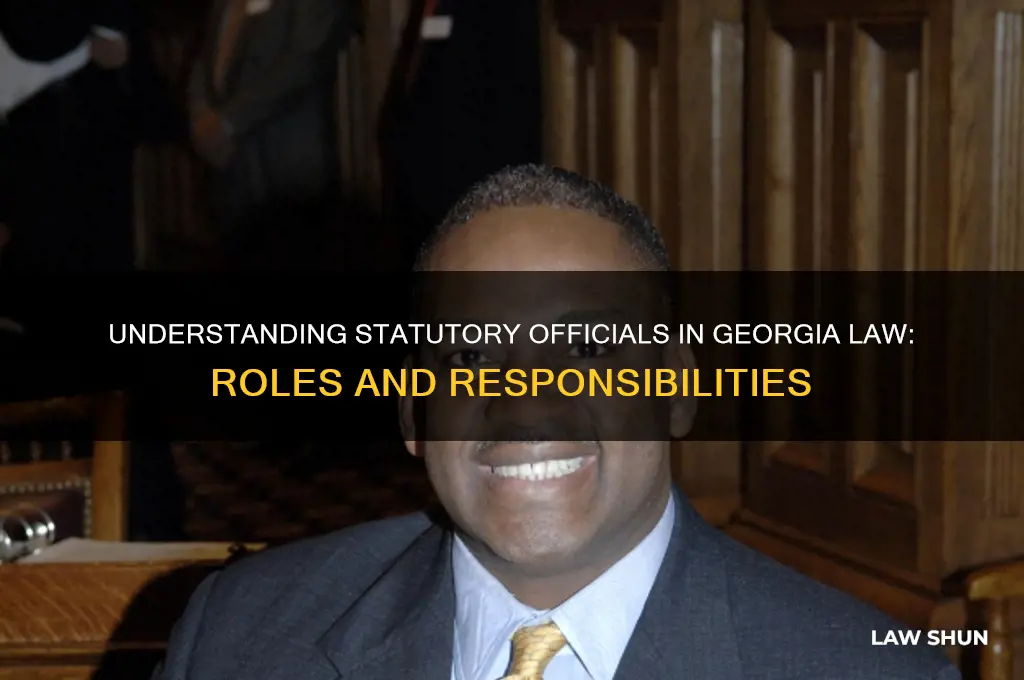 Understanding Statutory Officials In Georgia Law: Roles And ...