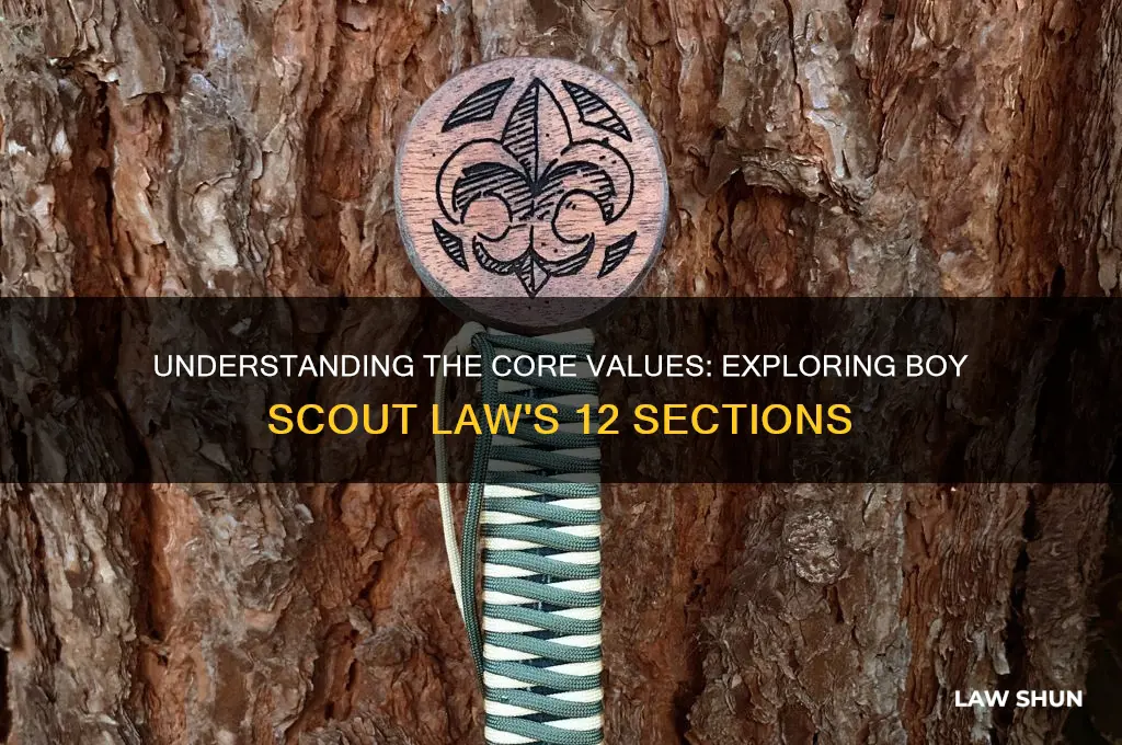 Understanding The Core Values: Exploring Boy Scout Law's 12 Sections ...