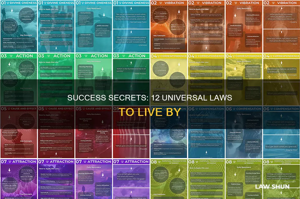 Success Secrets: 12 Universal Laws To Live By | LawShun