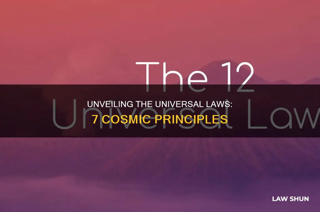 Unveiling The Universal Laws: 7 Cosmic Principles | LawShun
