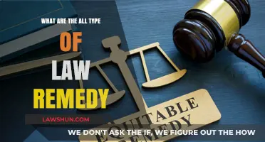 Understanding America's Legal Framework: Four Key Types Of Laws ...