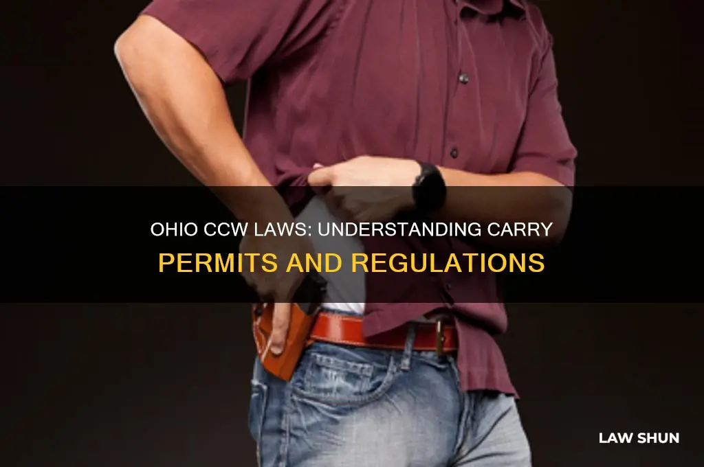 Ohio Ccw Laws: Understanding Carry Permits And Regulations | LawShun