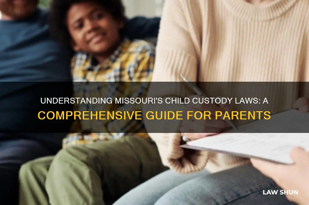Understanding Missouri's Child Custody Laws: A Comprehensive Guide For ...