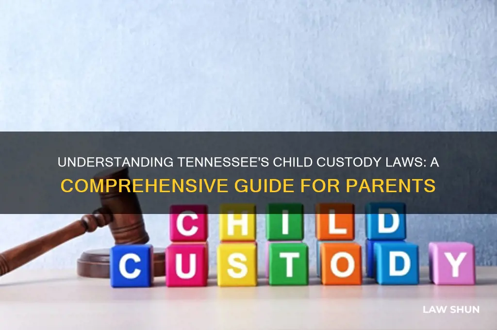 Understanding Tennessee's Child Custody Laws: A Comprehensive Guide For ...