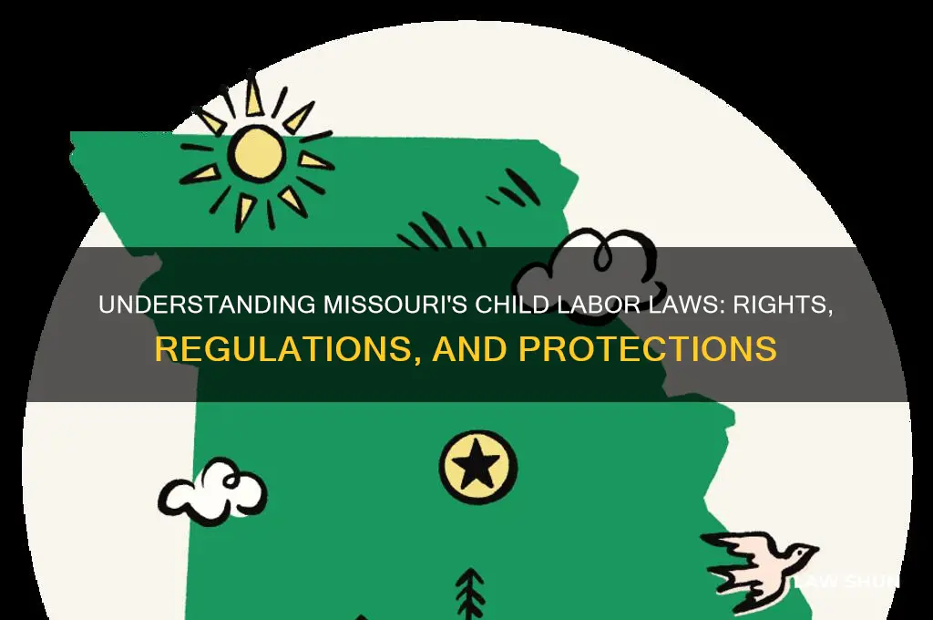 Understanding Missouri's Child Labor Laws: Rights, Regulations, And ...
